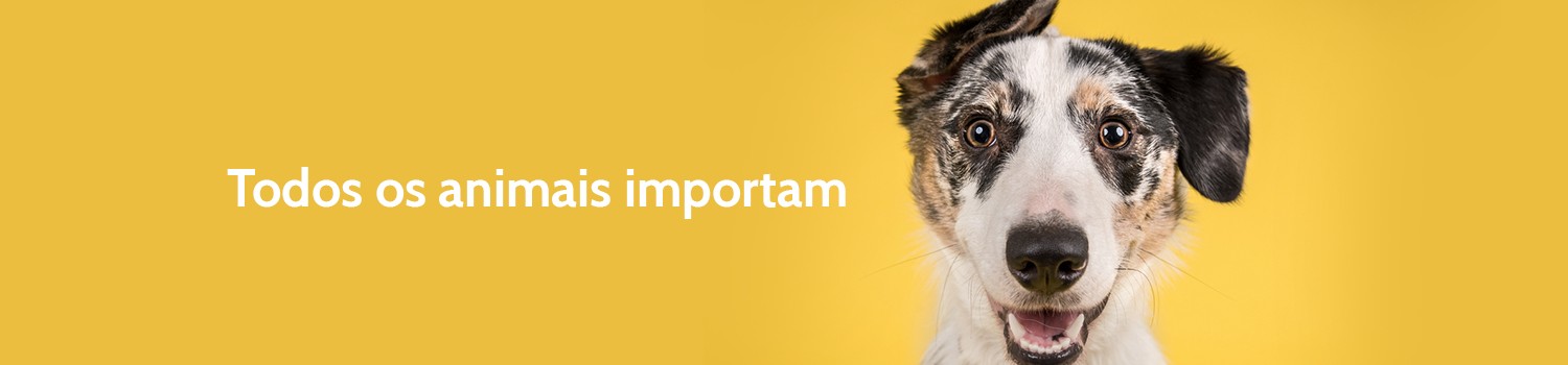 Ações - Causa animal