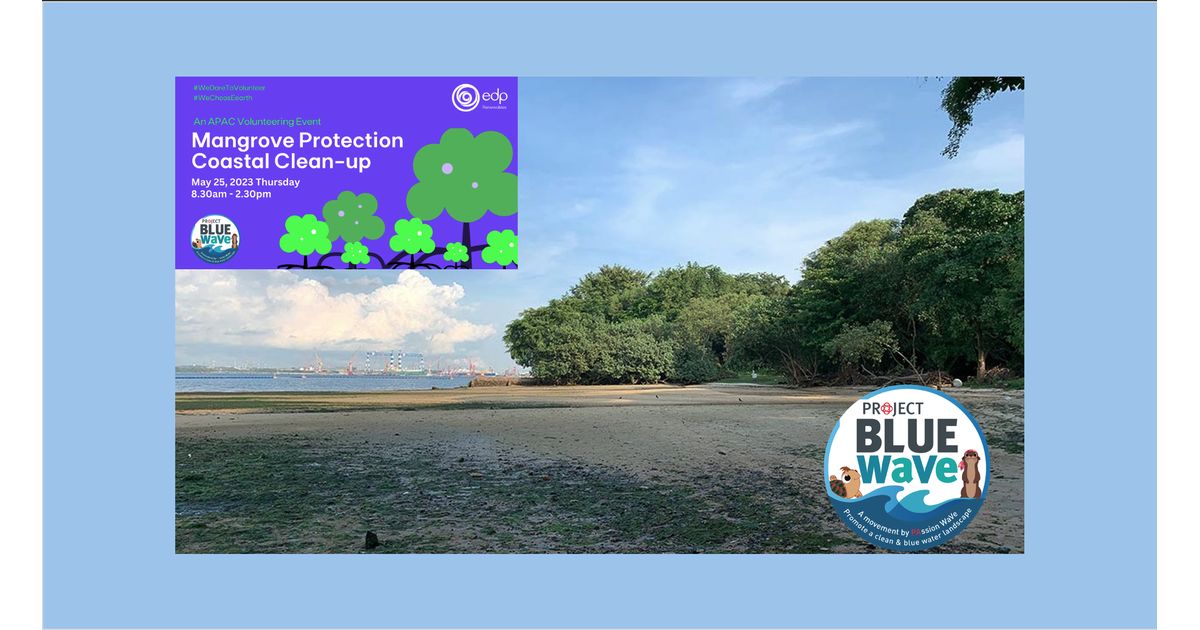 EDPR APAC Mangrove Protection Coastal Clean-up May 25, 2023